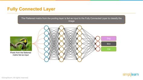 Convolutional Neural Network CNN How CNN Works Deep Learning Course Simplilearn PPTX
