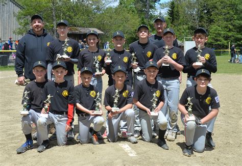Lions Roar To Lincoln Little League Championship The Lincoln County News