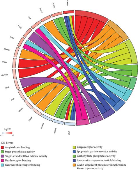 Functional Enrichment Analysis For Demrnas In The Cerna Network A C