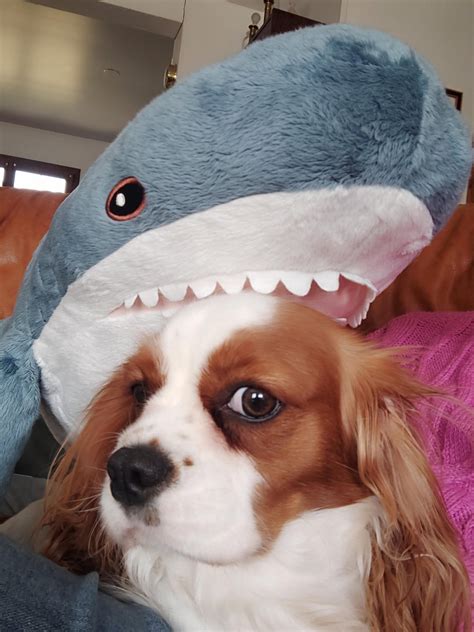 They Look Cute Together Rblahaj