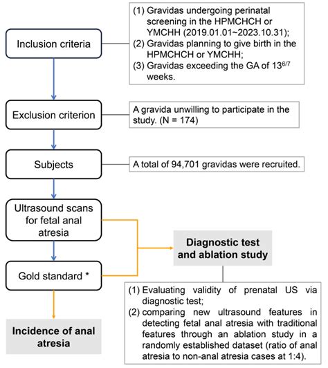 New Ultrasound Features In Diagnosing Fetal Anal Atresia A Multicenter