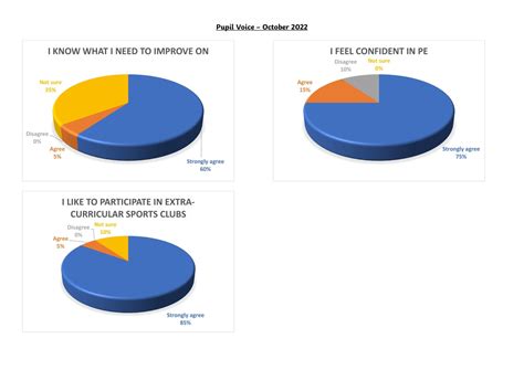 Physical Education Pupil Voice St Augustines Ce Academy