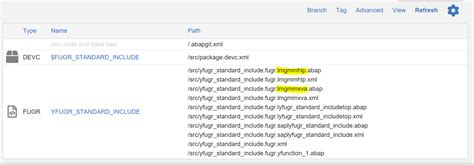 Fugr Standard Includes Added To Serialization · Issue 5283 · Abapgitabapgit · Github