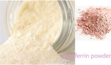 What Is The Use Of Lactoferrin Powder News