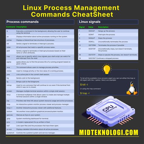 linux process management mid digital