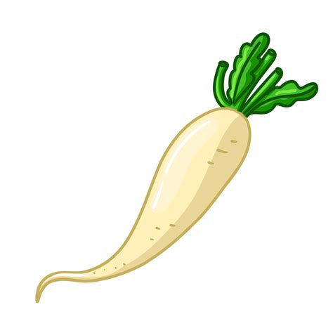 Blanco Daikon Rábano Con Verde Hoja Aislado En Blanco Antecedentes