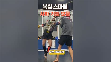 복싱 스파링 사파 기술 모음 Zip 재미로만 보세요 Youtube
