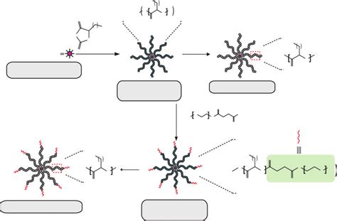 Scheme 1 Synthesis Of 16 And 32 Arm Star Polymers 1 And 2 With