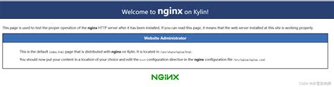 银河麒麟操作系统kylin Linux 离线安装nginx1215麒麟离线安装nginx Csdn博客