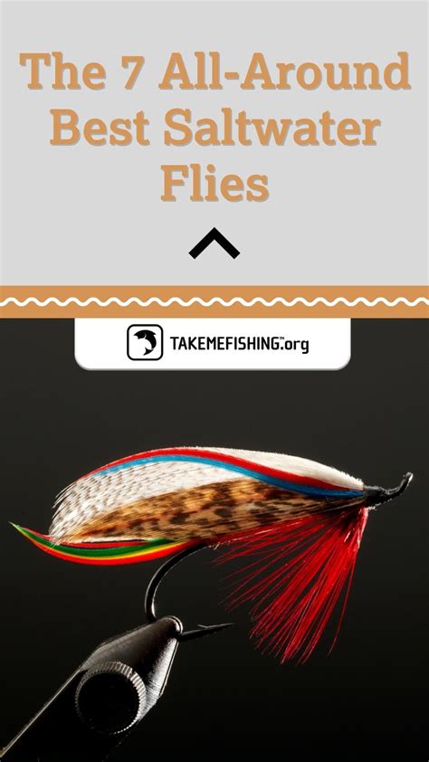 The 7 All Around Best Saltwater Flies Artofit