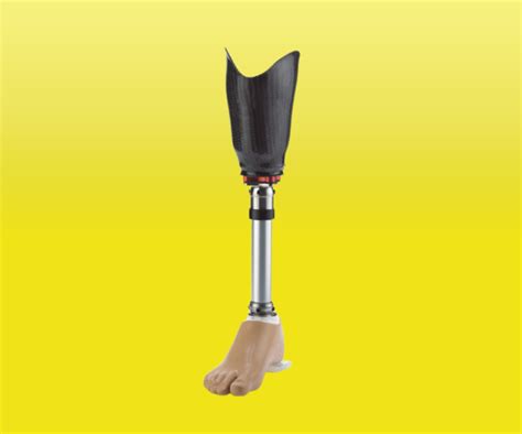Transtibial Prosthesis Pelayanan Ortotik And Prostetik