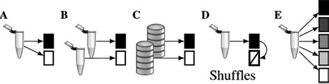 Contrasts For Discriminative Sequence Analysis Test Tubes Represent Download Scientific