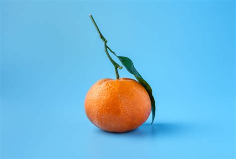 Cqc New Single Assessment Framework Care Home Solicitors Uk