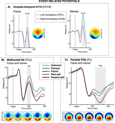 Event Related Potentials Erps Panel A Shows Grand Averages Of Download Scientific Diagram