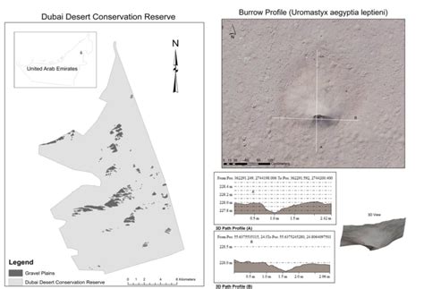 Location Of The Dubai Desert Conservation Reserve Ddcr Showing