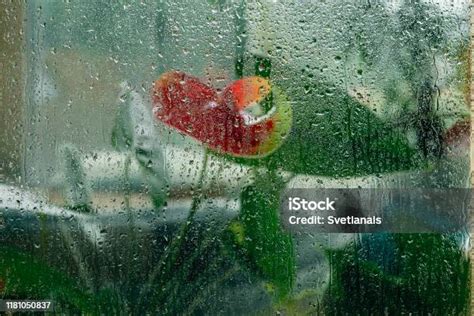 젖은 창문에 비가 내리고 뒤쪽의 빨간 꽃 흐릿한 보케 자연의 감상 자연의 예술 색상 0명에 대한 스톡 사진 및 기타 이미지 Istock