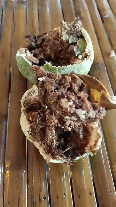 Amazing Wood Apple Ruby9 9 9 Youtube