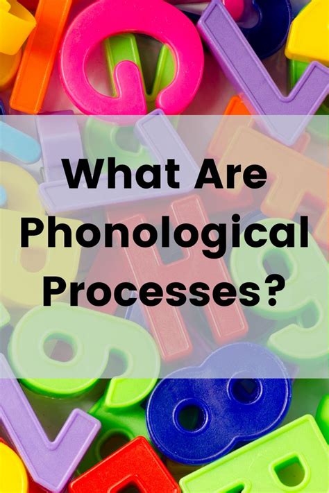 What Are Phonological Processes Phonological Processes Phonology