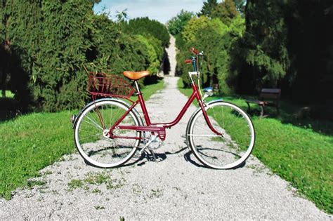 Front Bike Basket Vs Rear Bike Basket The Feature Comparison