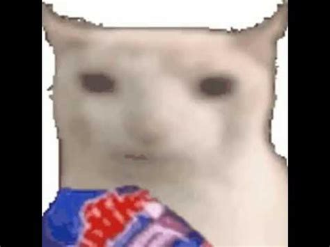 Cat Eating Chips New Meme Memes Youtube