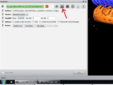 How To Export From Avizo