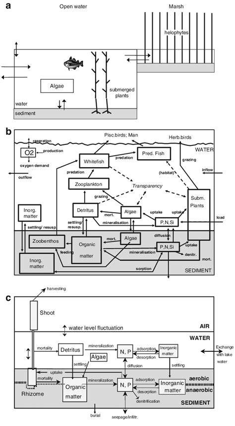 Schematic Picture Of The Pclake Model A General Overview B Open Download Scientific