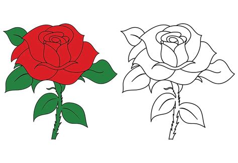 Printable Rose Flower Coloring Pages Best Flower Site