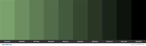 Shades Xkcd Color Sage Green 88b378 Hex Green Colour Palette Hex