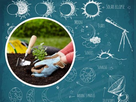 Місячний посівний календар на жовтень 2022 кращі дні для робіт в саду і городі Главред