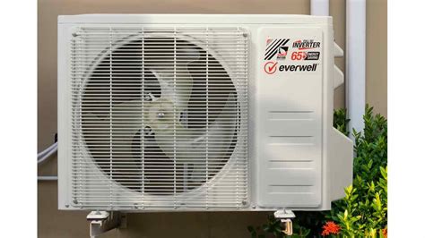 Top Reasons To Choose Everwell Air Conditioners Comfort Technical