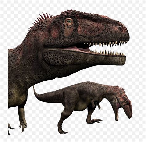 Tyrannosaurus Mapusaurus Acrocanthosaurus Giganotosaurus Dinosaur Png