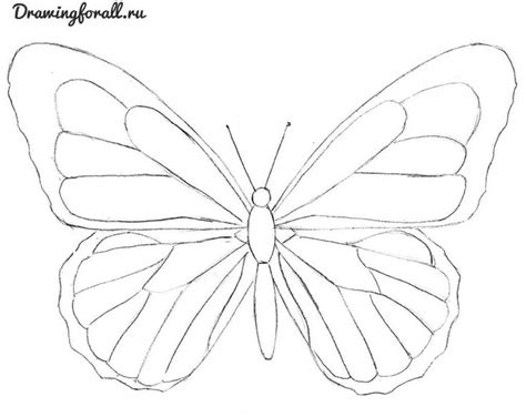 Как нарисовать бабочку Drawingforall Ru Butterfly Art Drawing Butterfly Drawing Butterfly