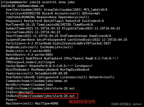 slurm作业管理系统常用命令和教程 slurm查看队列 csdn博客
