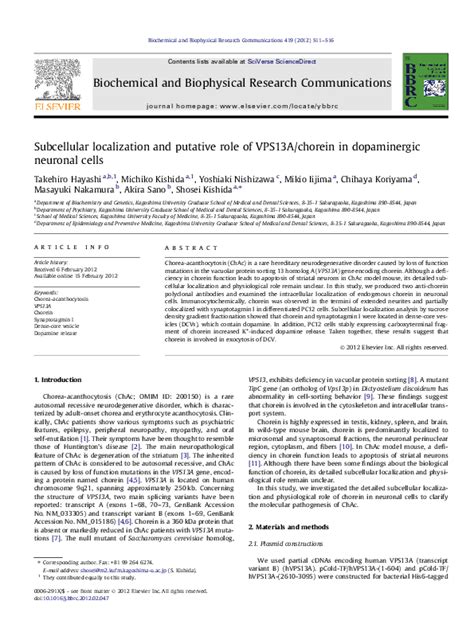 Pdf Subcellular Localization And Putative Role Of Vps13a Chorein In Dopaminergic Neuronal