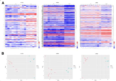 Heatmap And Pca Analysis Of De Lncrna Mirna And Mrna The Heatmap And