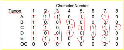 Solved Draw A Phylogenetic Tree Using Data 1 How Many Chegg Com