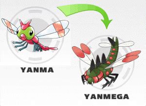 Pokemon Evolução Evolução Yanma