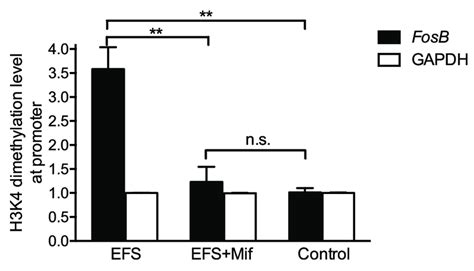 Histone H3k4 Dimethylation At Fosb Promoter In Striatum Increased In