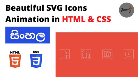 Html And Css Web Designing 31 Beautiful Svg Icons Animation Sinhala