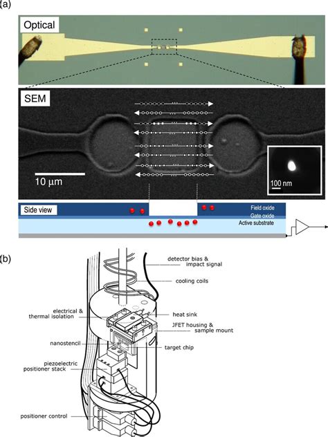 A The Step And Repeat Deterministic Implantation Of A Large Scale Download Scientific Diagram