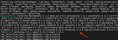 How To Install Tensorflow On Ubuntu 2204 Cherry Servers