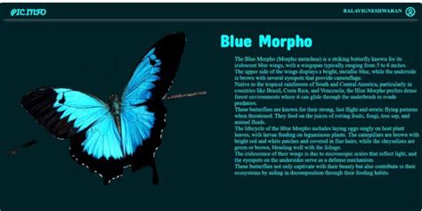 Starting A New Project With Justrise Academy Balavigneshwaran P Posted On The Topic Linkedin