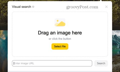 How To Perform A Reverse Image Search