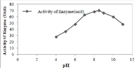 Graphical Presentation Of Protease Activities At Different Temperature