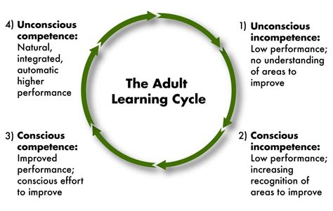 Adult Learning Cycle Learning To Learn