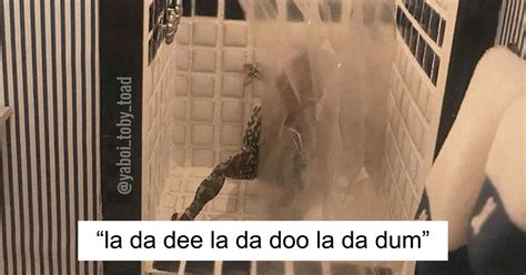 Woman Keeps Photographing Her Toad Doing Human Like Things In Her