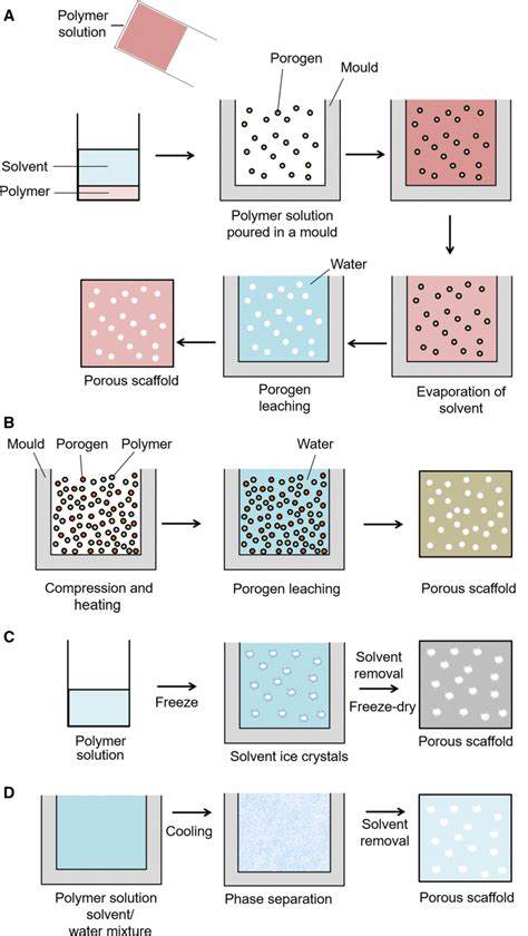 A Solvent Casting Particulate Leaching Process The Polymer Is Download Scientific Diagram