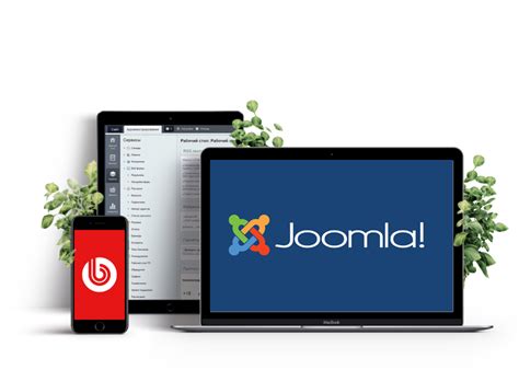 Сравнение Cms систем для разработки сайтов 1С Битрикс и Joomla