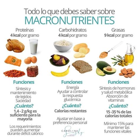 Macronutrientes Alimentos Sanos Alimentos Saludables Alimentos