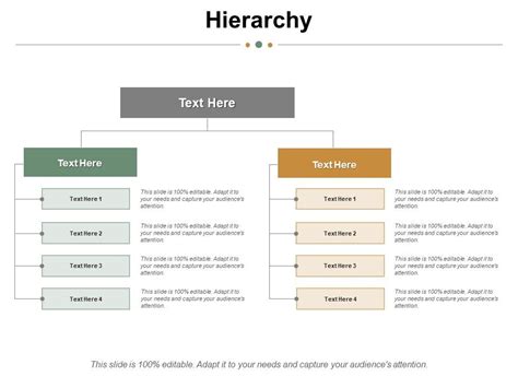 Hierarchy Ppt Powerpoint Presentation Visual Aids Background Images